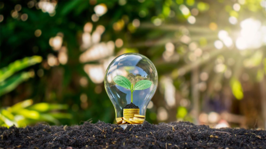 Types of Waste that can be Turned into Energy - Quickwasters